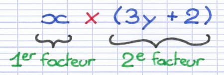 Factorisation - Mettre en Évidence un Facteur Commun | Math Coaching